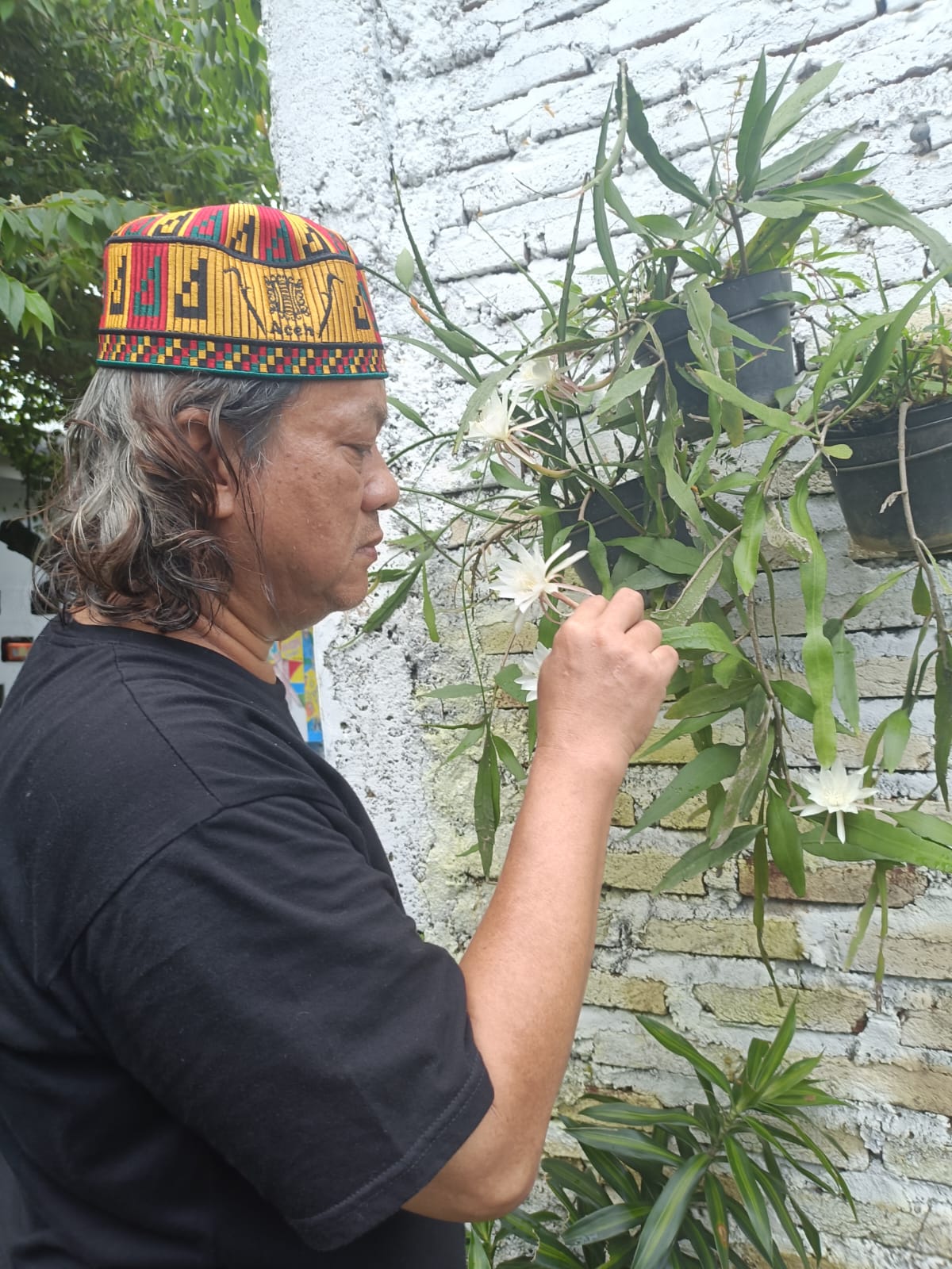 Bunga Wijaya Kusuma Warisan Emak dan Bapak - GolAGongKreatif
